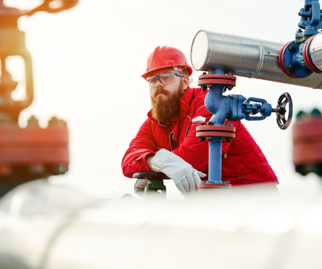 NLPC and Oil & Gas Workers Association v. Securities and Exchange ...