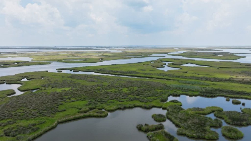 Pelican Institute Issues Statement in Response to Oral Arguments in ...