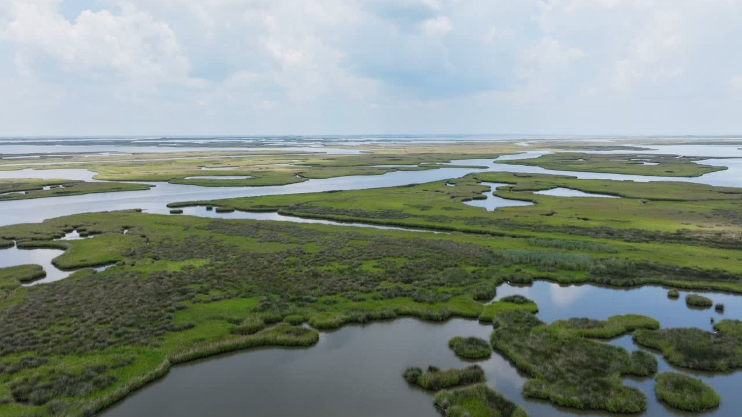 Pelican Institute Issues Statement in Response to Oral Arguments in ...